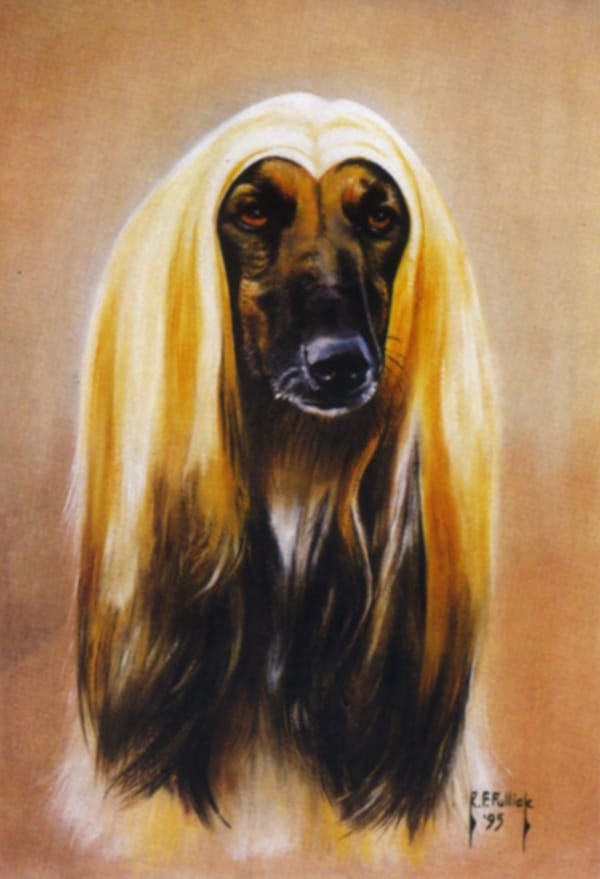 R.F. Fullick - Original Illustrated Breeds