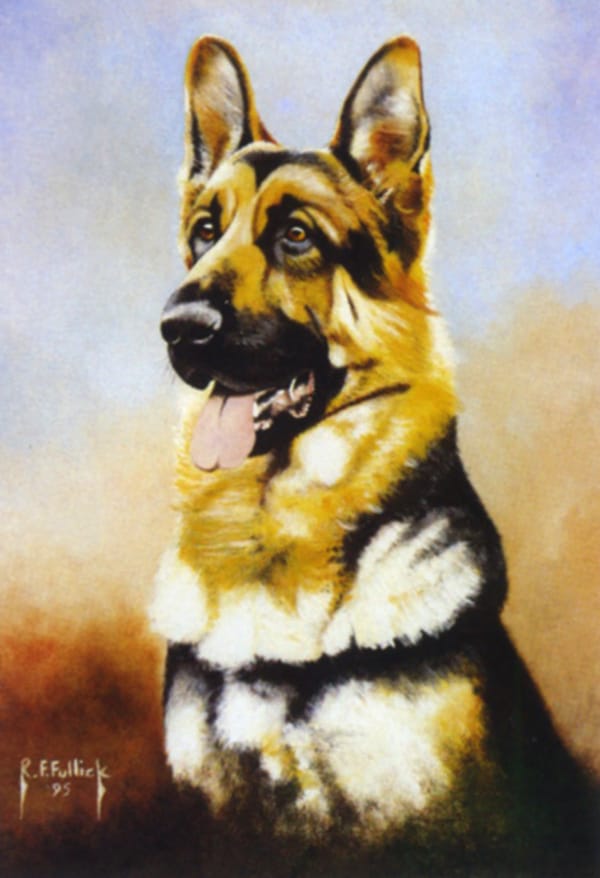 R.F. Fullick - Original Illustrated Breeds