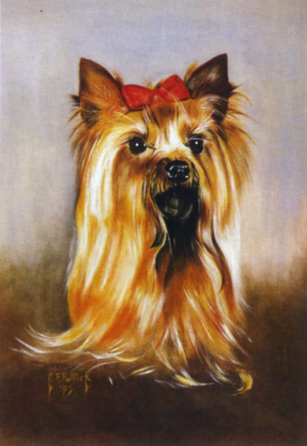 R.F. Fullick - Original Illustrated Breeds